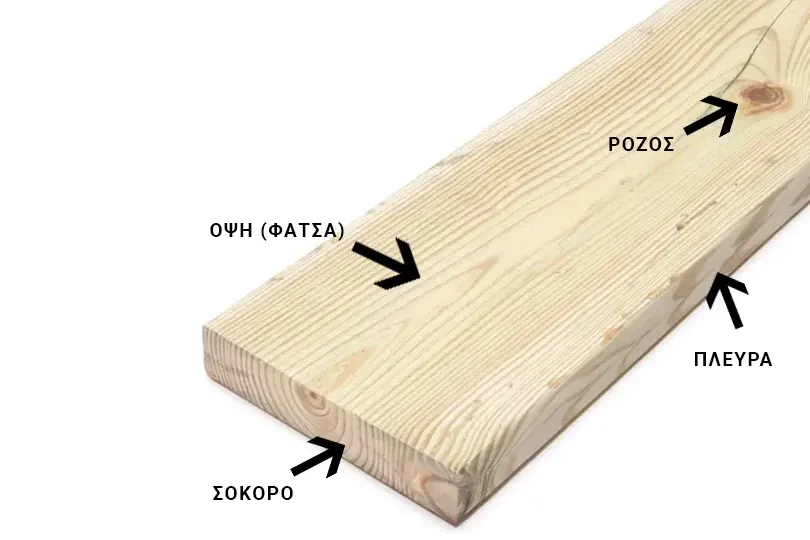 Η ανατομία του ξύλου - Blog - Ξυλεία Πασχάλη Ο.Ε.